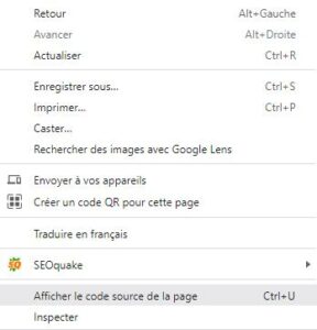 Voir le code d'une page web pour vérifier une balise SEO