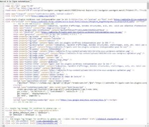Voir le code d'une page web pour vérifier une balise SEO